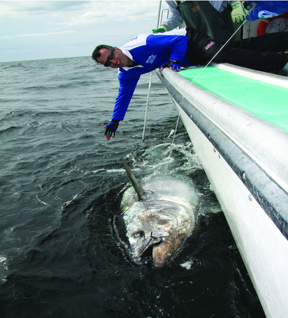 Giant Bluefin Tuna: The True King of Game Fish – Pacific Coast ...