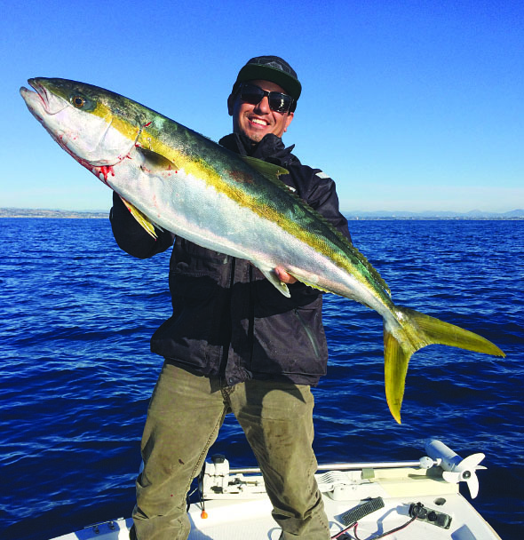 Deep Water Yellowtail From a Private Boat – Pacific Coast Sportfishing ...