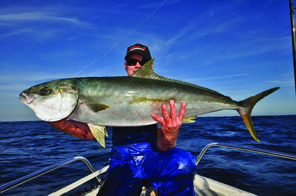 Finding & Patterning Coastal Yellowtail – Pacific Coast Sportfishing ...