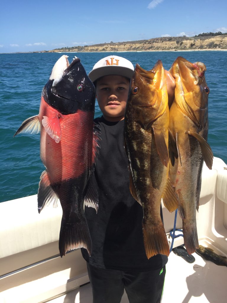 2019 Rockfish Season – Pacific Coast Sportfishing Magazine
